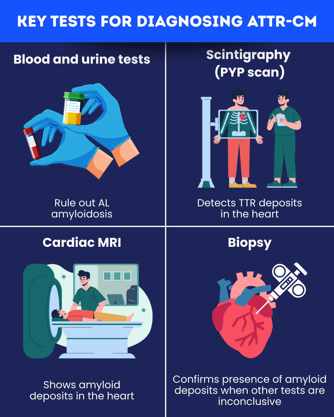 ATTR-CM diagnosis: Tests and next steps | Amyloidosis News Today